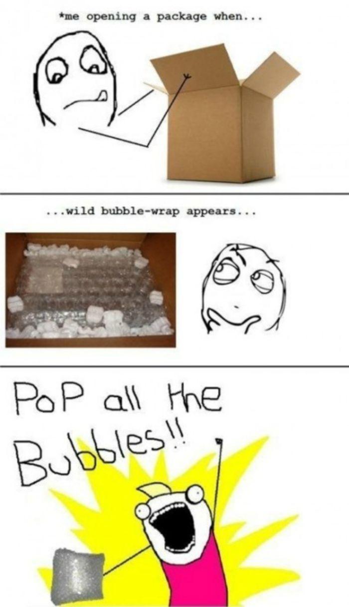 [Image - 256749] | All the Things | Know Your Meme