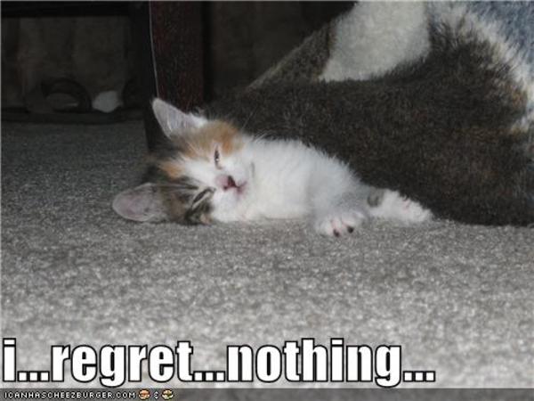 [Image - 257248] | I Regret Nothing | Know Your Meme