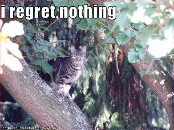 [Image - 257277] | I Regret Nothing | Know Your Meme