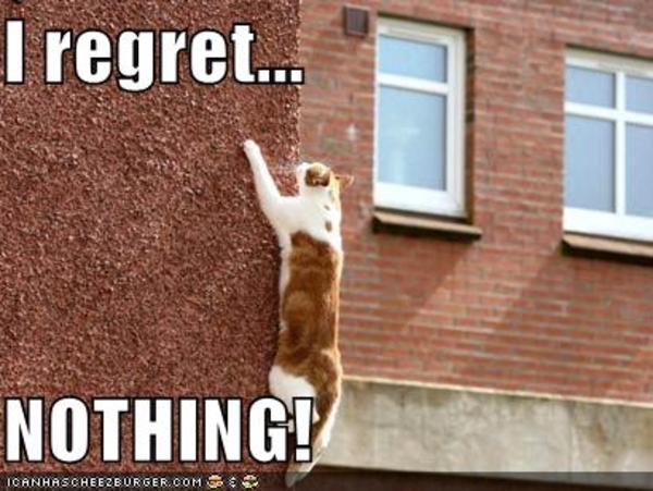 [Image - 257291] | I Regret Nothing | Know Your Meme