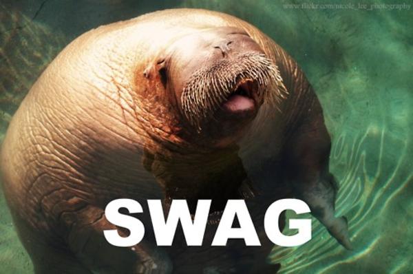 [Image - 260093] | Swag | Know Your Meme