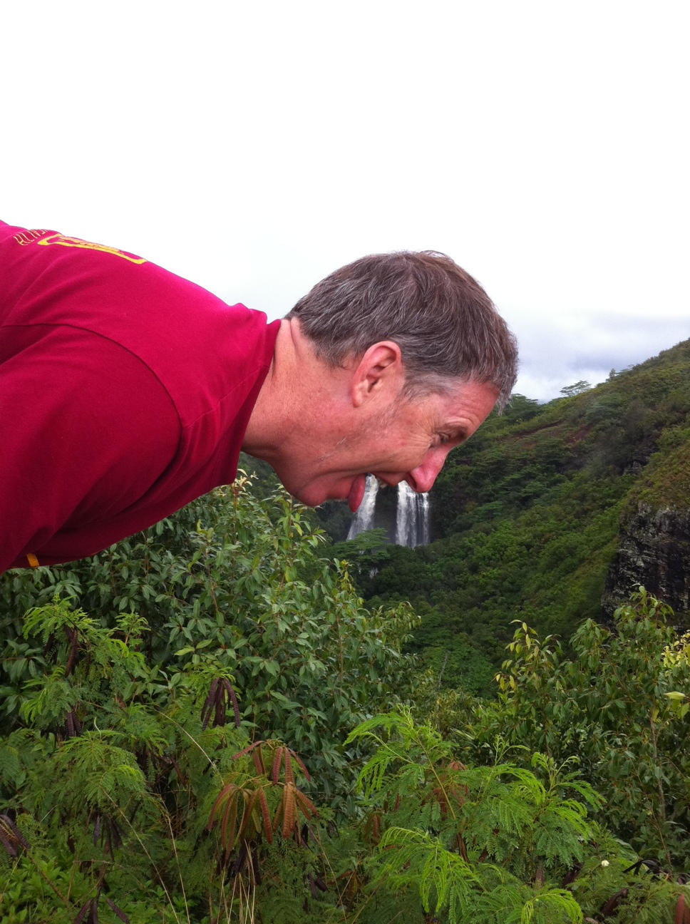 [Image - 262819] | Photo Fads | Know Your Meme