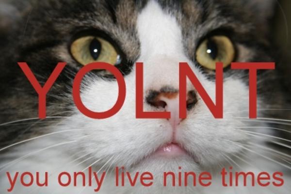[Image - 263231] | YOLO | Know Your Meme