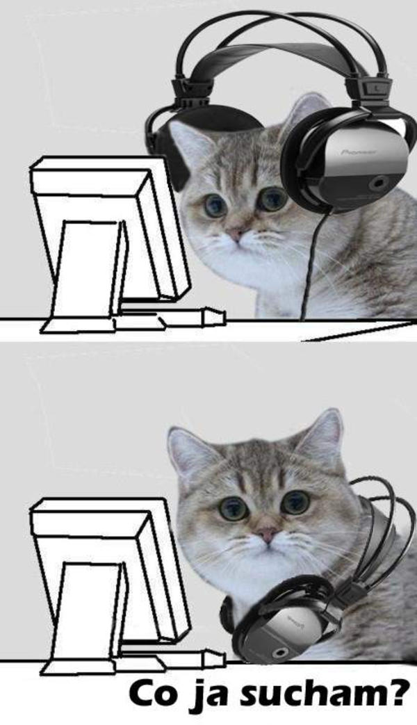 [Image - 263296] | Starecat / Grafics Cat | Know Your Meme