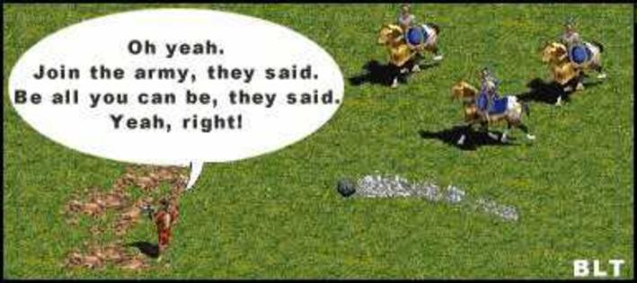 [Image - 263548] | Age of Empires | Know Your Meme