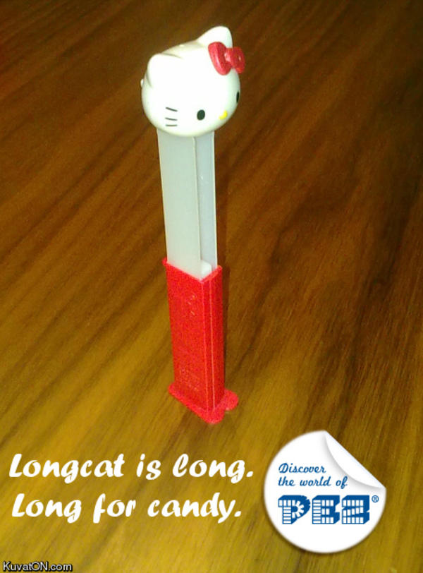 [Image - 263919] | Longcat | Know Your Meme