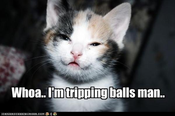[Image - 264582] | Tripping Balls | Know Your Meme
