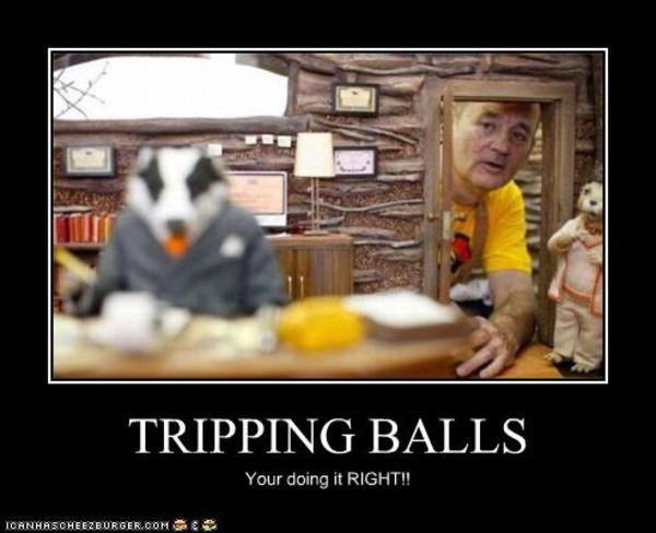 [Image - 264584] | Tripping Balls | Know Your Meme