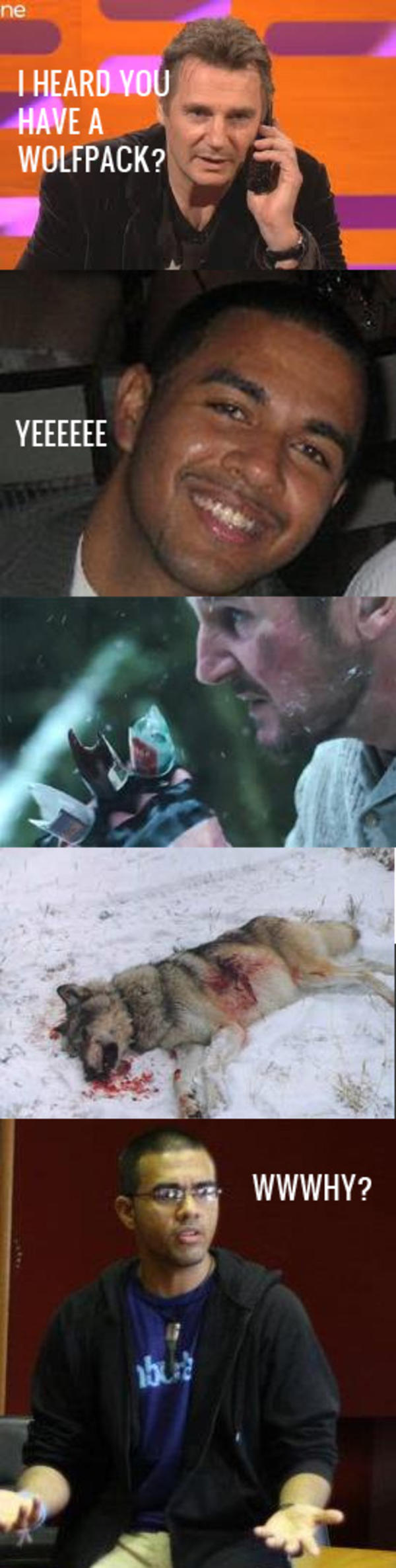 [Image - 264856] | Liam Neeson Wolfpack | Know Your Meme