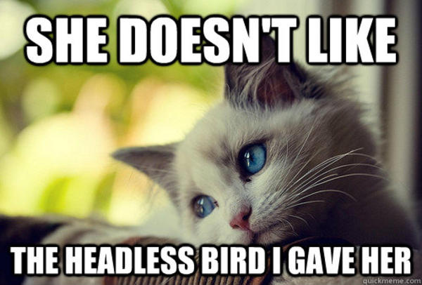 [Image - 267480] | First World Problems Cat | Know Your Meme