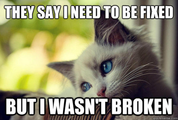 [Image - 267498] | First World Problems Cat | Know Your Meme