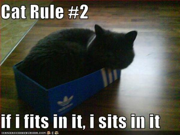 [Image - 268059] | If It Fits I Sits | Know Your Meme