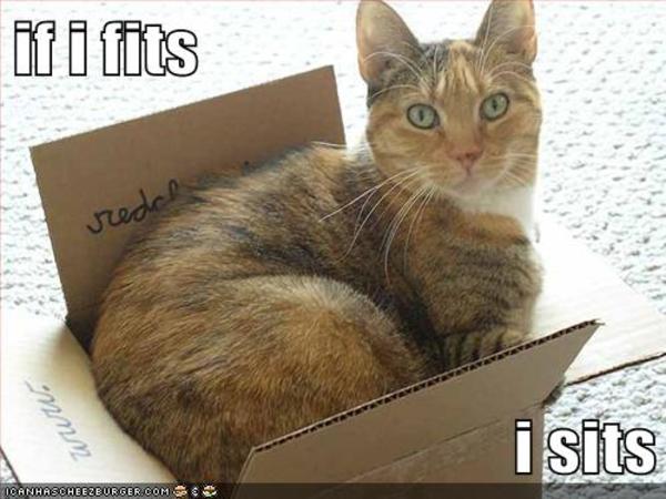 [Image - 268062] | If It Fits I Sits | Know Your Meme