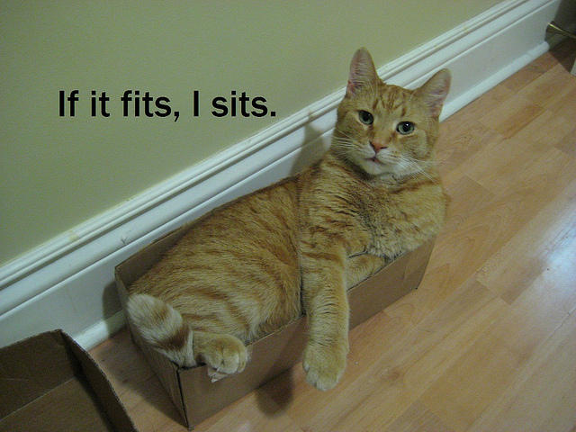[Image - 268080] | If It Fits I Sits | Know Your Meme