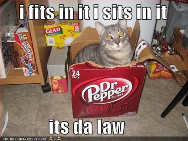 [Image - 268087] | If It Fits I Sits | Know Your Meme
