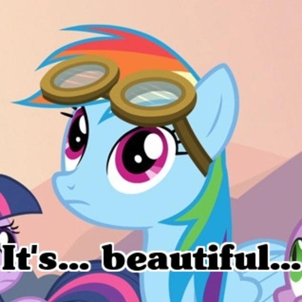 It's... beautiful... | Reaction Images | Know Your Meme