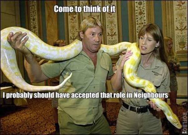 [Image - 269214] | Steve Irwin's Stingray Death | Know Your Meme