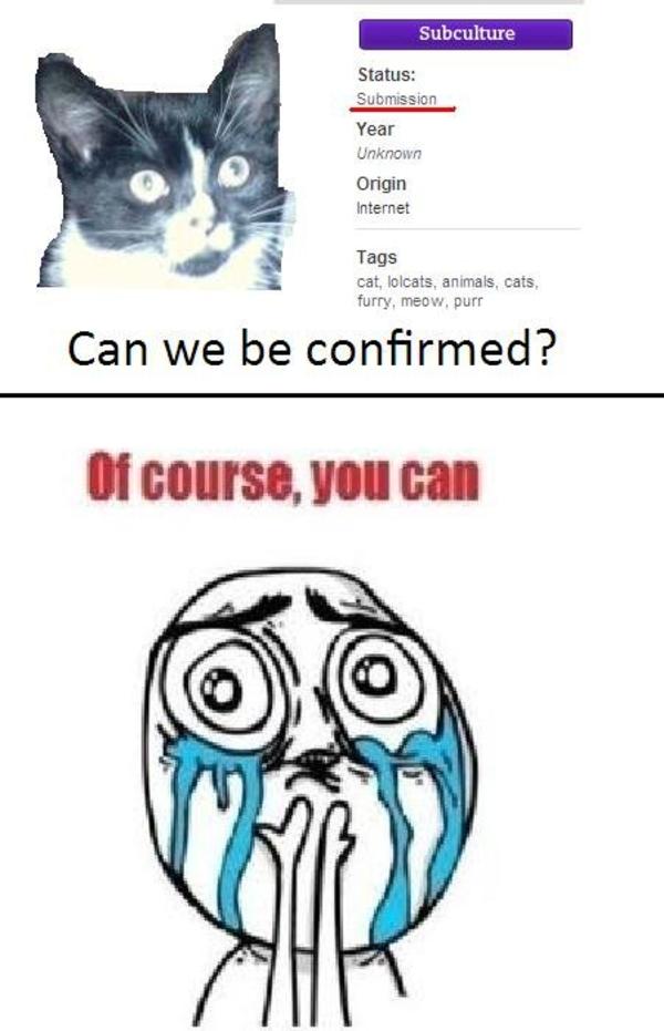 [Image - 269376] | Cuteness Overload | Know Your Meme