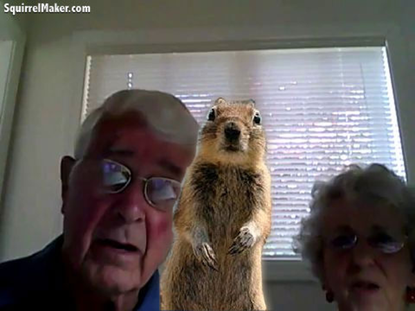 [Image - 270548] | Crasher Squirrel | Know Your Meme