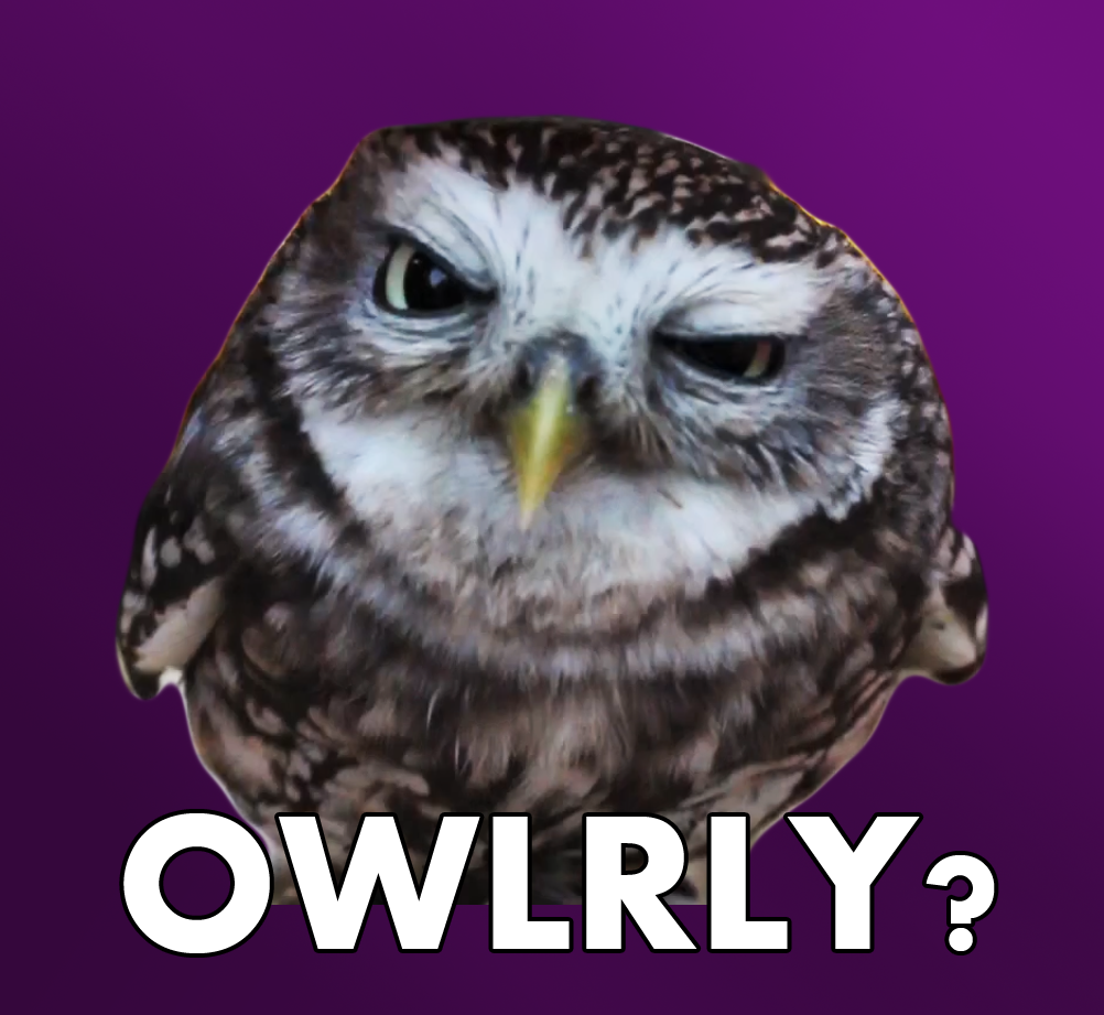[Image - 271726] | Oh Really Owl | Know Your Meme