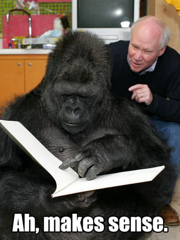 [Image - 273992] | Image Macros | Know Your Meme