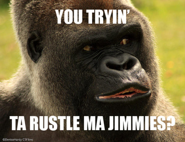 [Image - 274524] | That Really Rustled My Jimmies | Know Your Meme