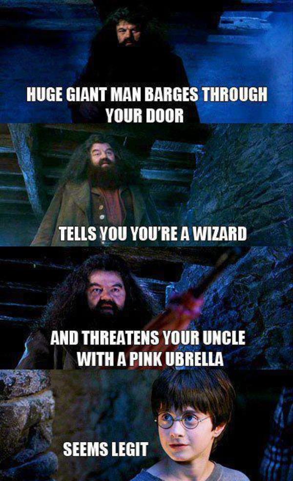 [Image - 275307] | Seems Legit / Sounds Legit | Know Your Meme