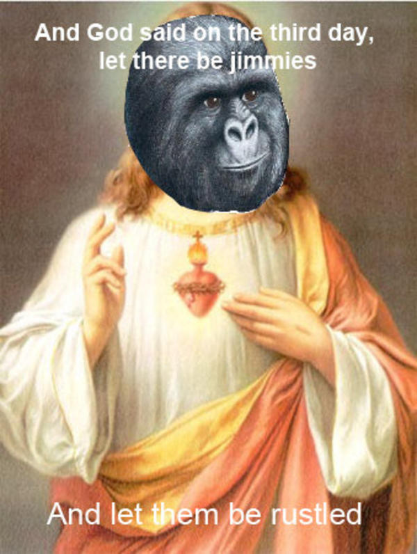 [Image - 275568] | That Really Rustled My Jimmies | Know Your Meme