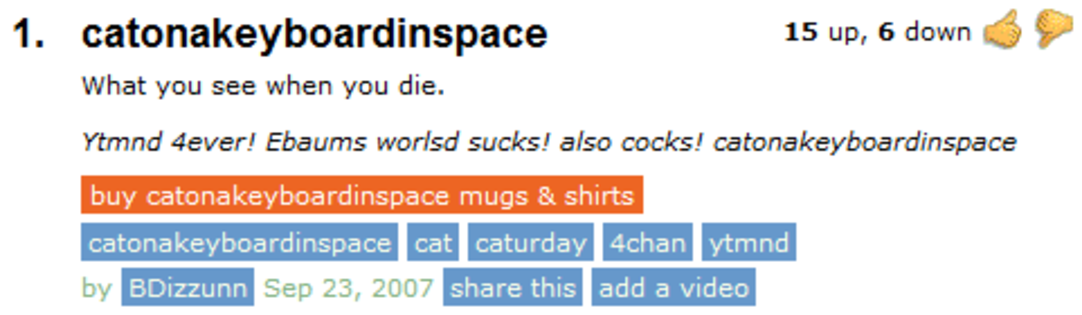 [Image - 279198] | Cat on a Keyboard in Space | Know Your Meme