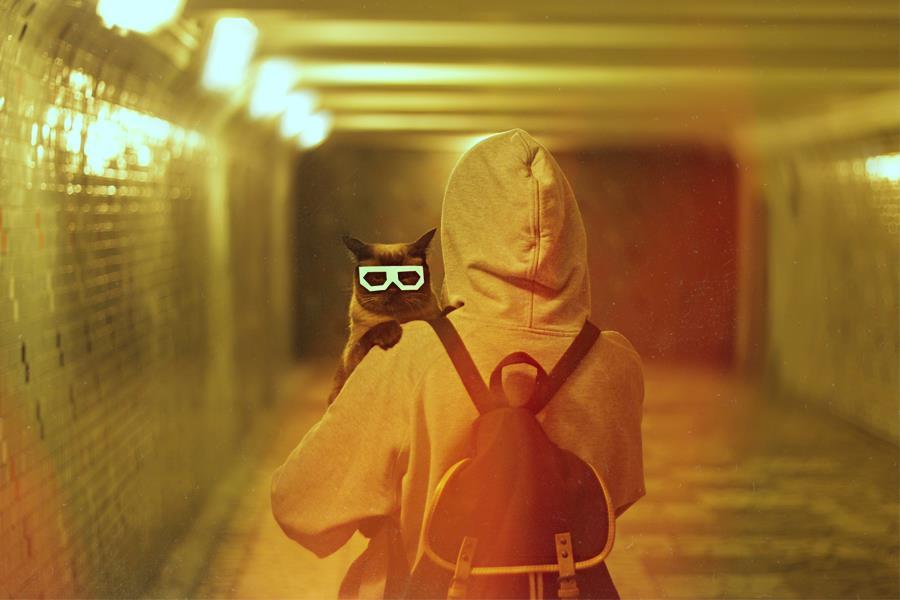 [Image - 281068] | Skifcha | Know Your Meme