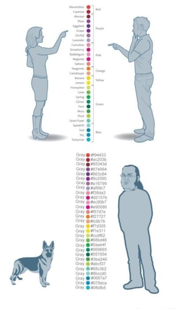 [Image - 283021] | Butthurt Dweller's Rage Face | Know Your Meme