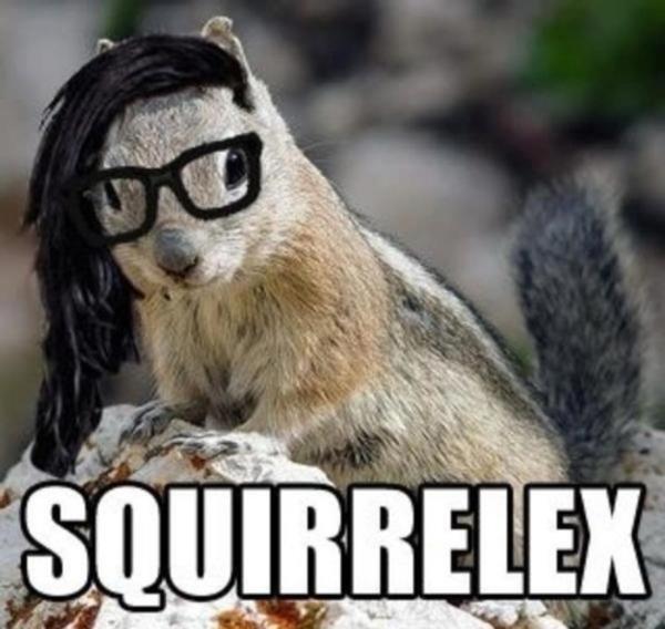 [Image - 284367] | Skrillex | Know Your Meme