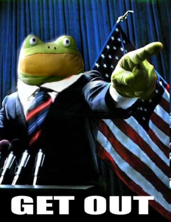 [Image - 285136] | Get Out Frog / Frogout / Me Obrigue | Know Your Meme