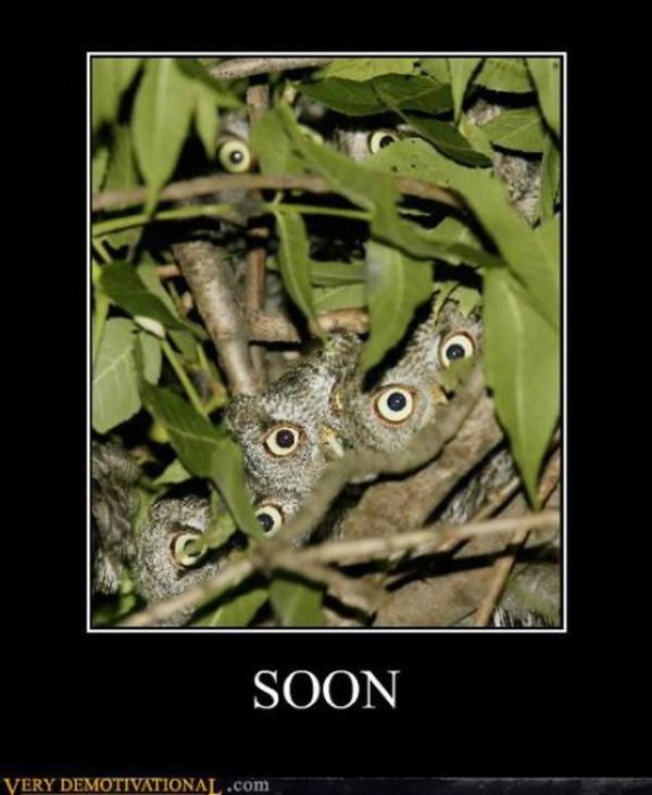 [Image - 285882] | SOON | Know Your Meme