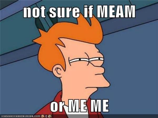 ME ME | Futurama Fry / Not Sure If | Know Your Meme