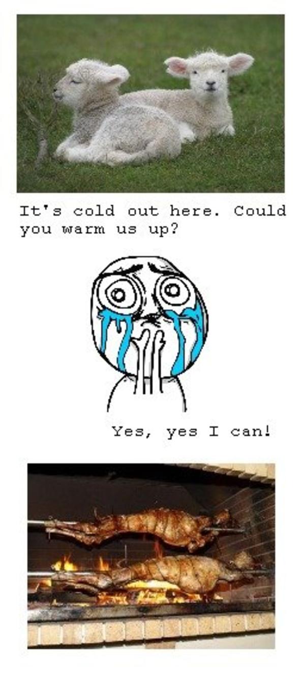 [Image - 287305] | Cuteness Overload | Know Your Meme