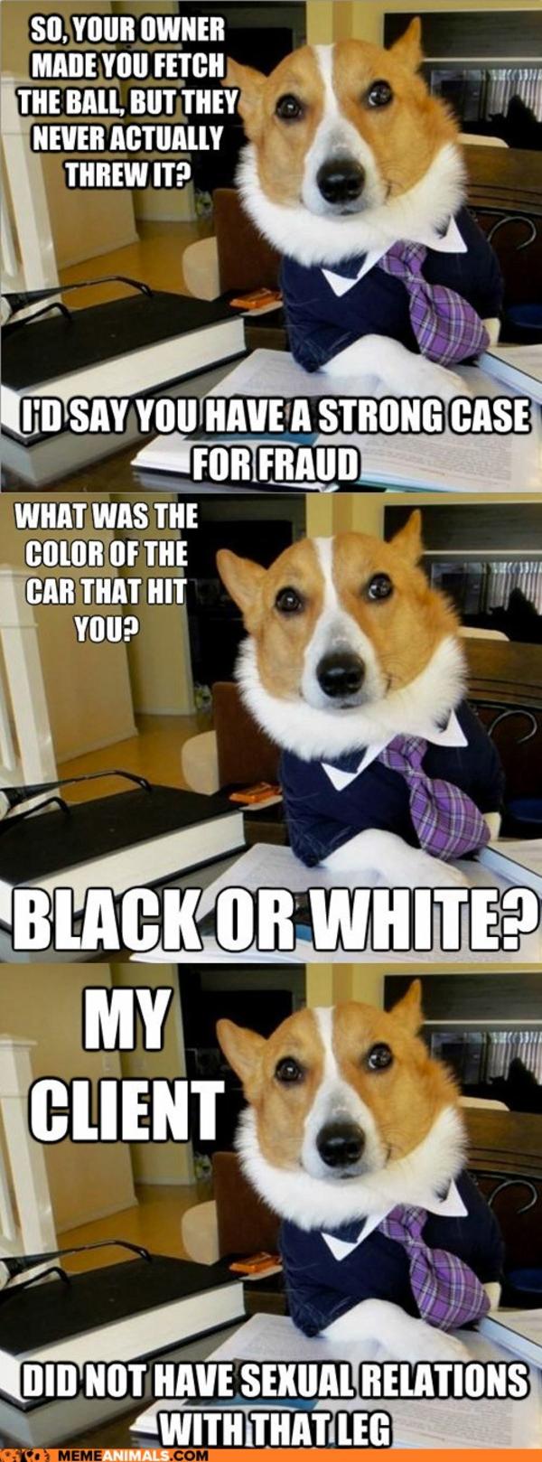 [Image - 287335] | Lawyer Dog | Know Your Meme