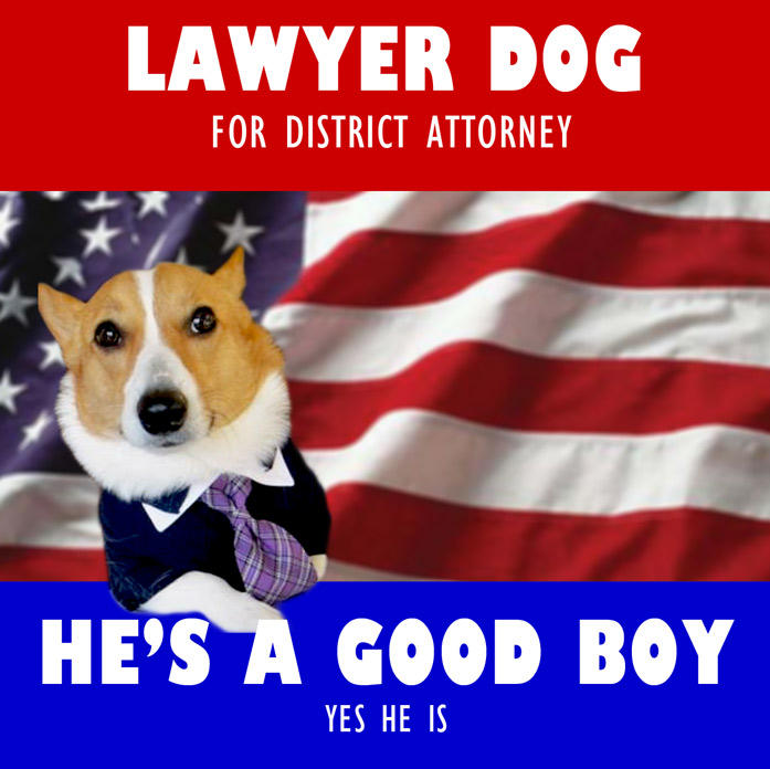  Image 287421 Lawyer Dog Know Your Meme