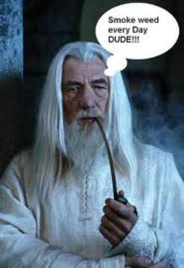 [Image - 288771] | Smoke Weed Every Day | Know Your Meme