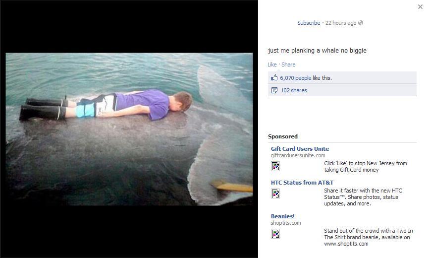 [Image - 289179] | Planking | Know Your Meme