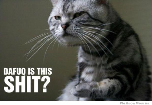 [Image - 290844] | Dafuq | Know Your Meme