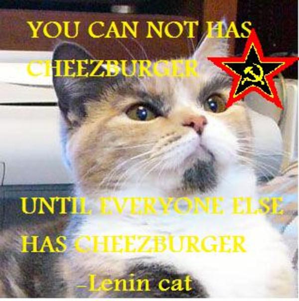 Kameownist Russia | Lenin Cat | Know Your Meme