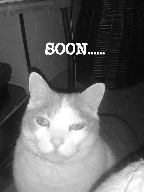 Soon | SOON | Know Your Meme