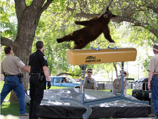 [Image - 295517] | Falling Bear | Know Your Meme