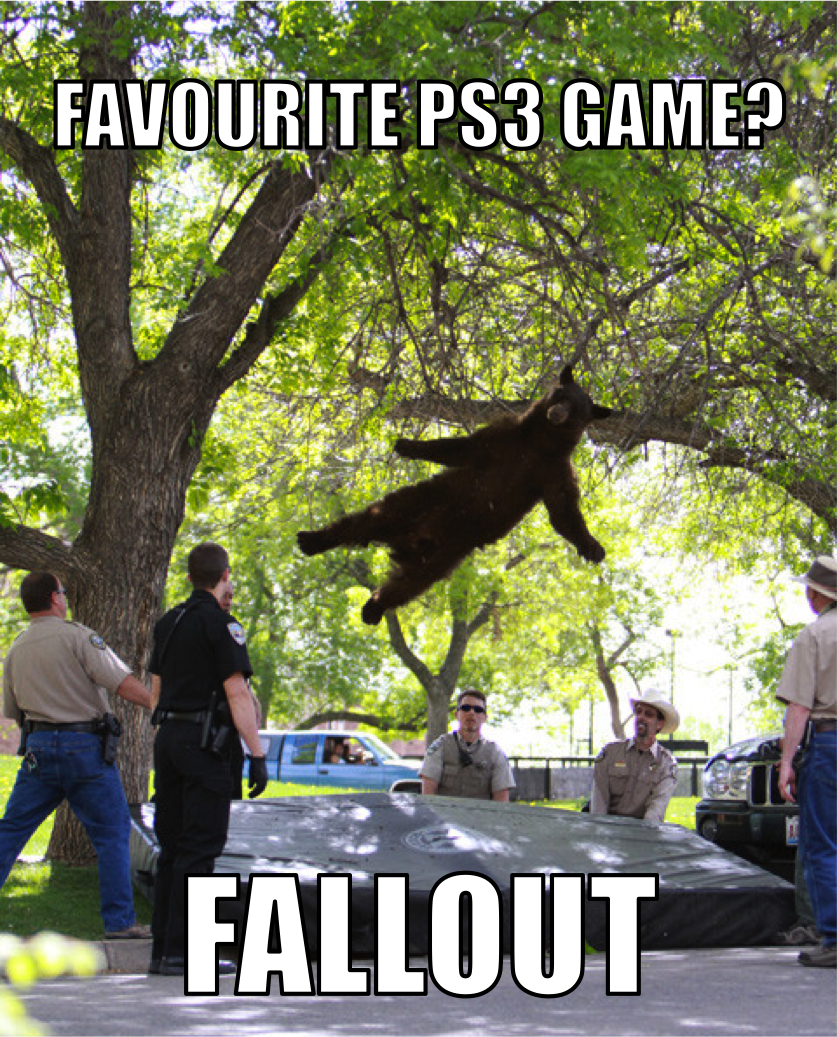 Bear fallout | Falling Bear | Know Your Meme