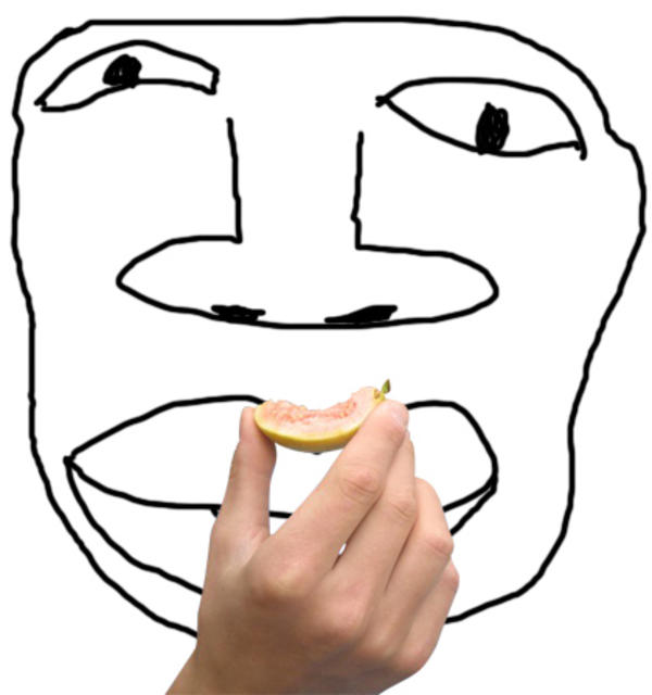 [Image - 297718] | NEW MEME Face | Know Your Meme