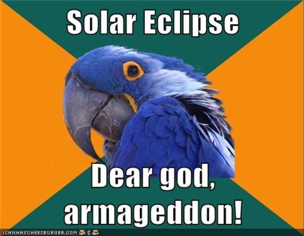 [Image - 308249] | Paranoid Parrot | Know Your Meme