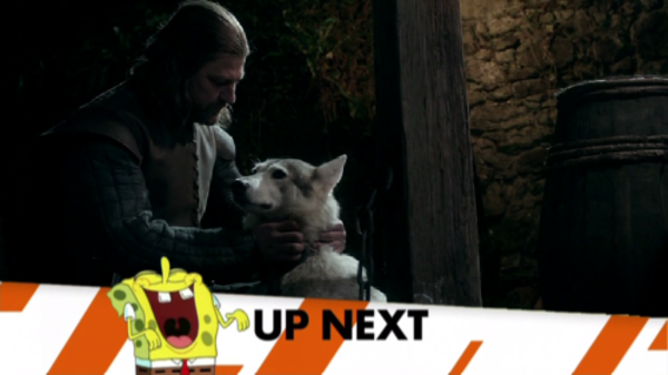 [Image - 308283] | Inappropriate Timing Spongebob Banner | Know Your Meme