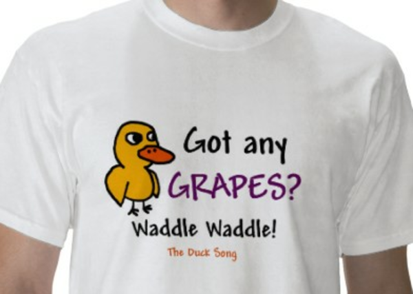 [Image - 311928] | The Duck Song | Know Your Meme