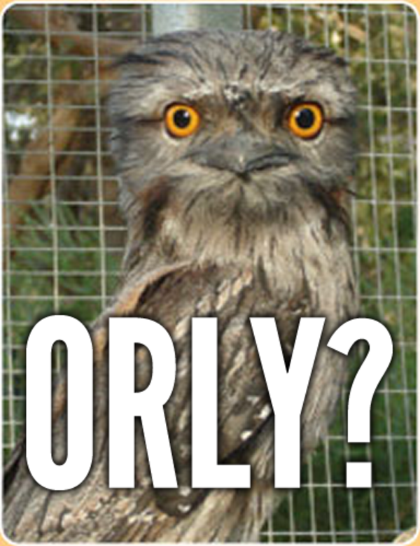 ORLY (Tawny Frogmouth) | O RLY? | Know Your Meme